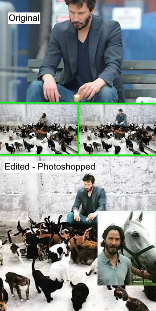 Interesting edited photo of Keanu Reeves surrounded by cats – Michael Broad