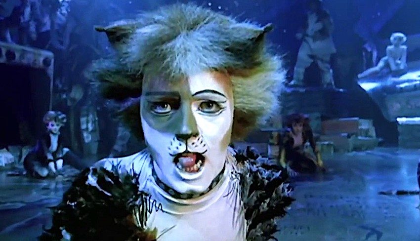 cats the musical – PoC – our relationship with cats and other animals
