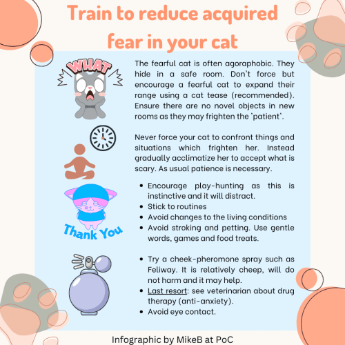 Infographic on ‘Train to reduce acquired fear in your cat’ – Michael Broad